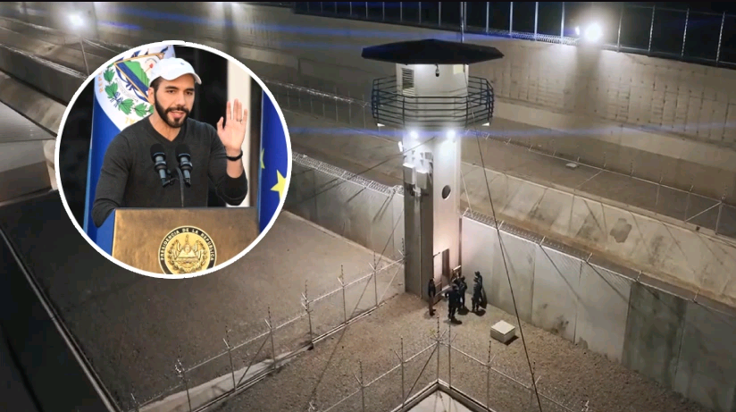 (Video) Bukele inaugura megacárcel para 40.000 pandilleros; asegura es ...